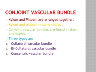 Dr. Harsha Hinge | PPT