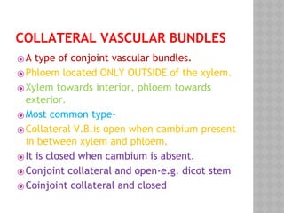 Dr. Harsha Hinge | PPT