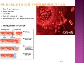 BLOOD AND ITS COMPONENTS | PPTX