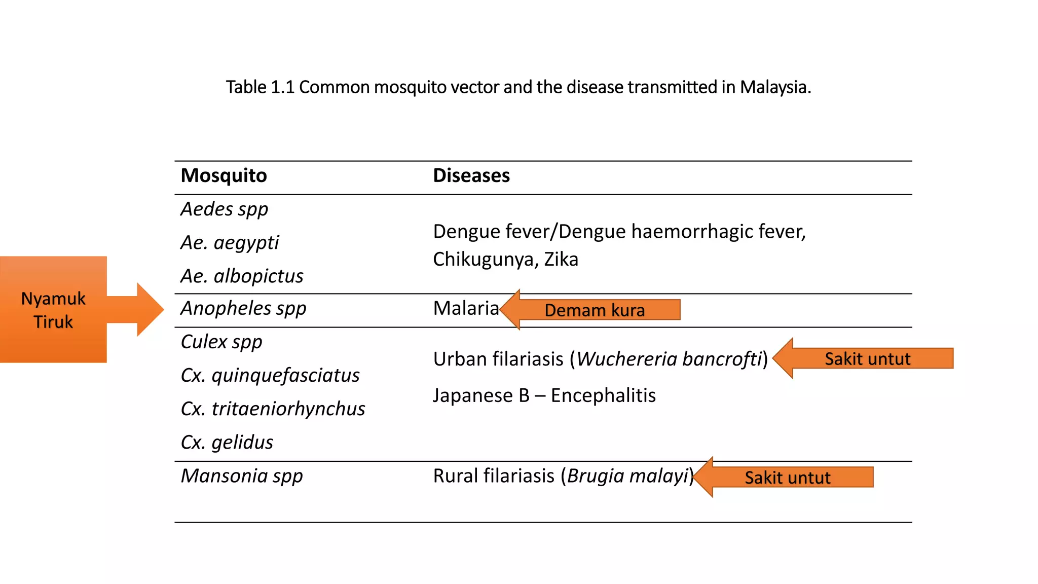Identification of Medically Important Mosquito Genera Malaysia | PDF