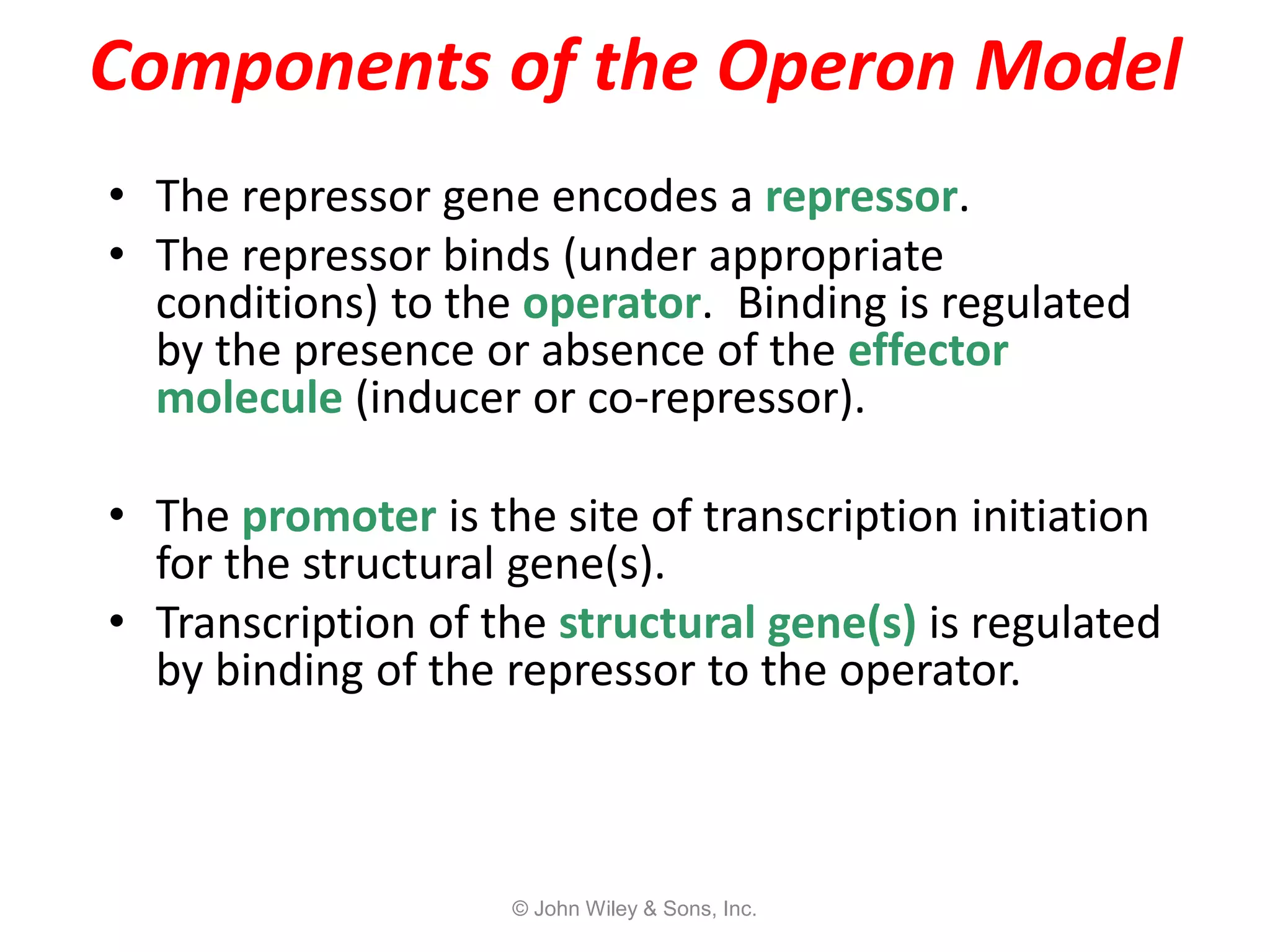 Lac Operon for class 12th | PPTX