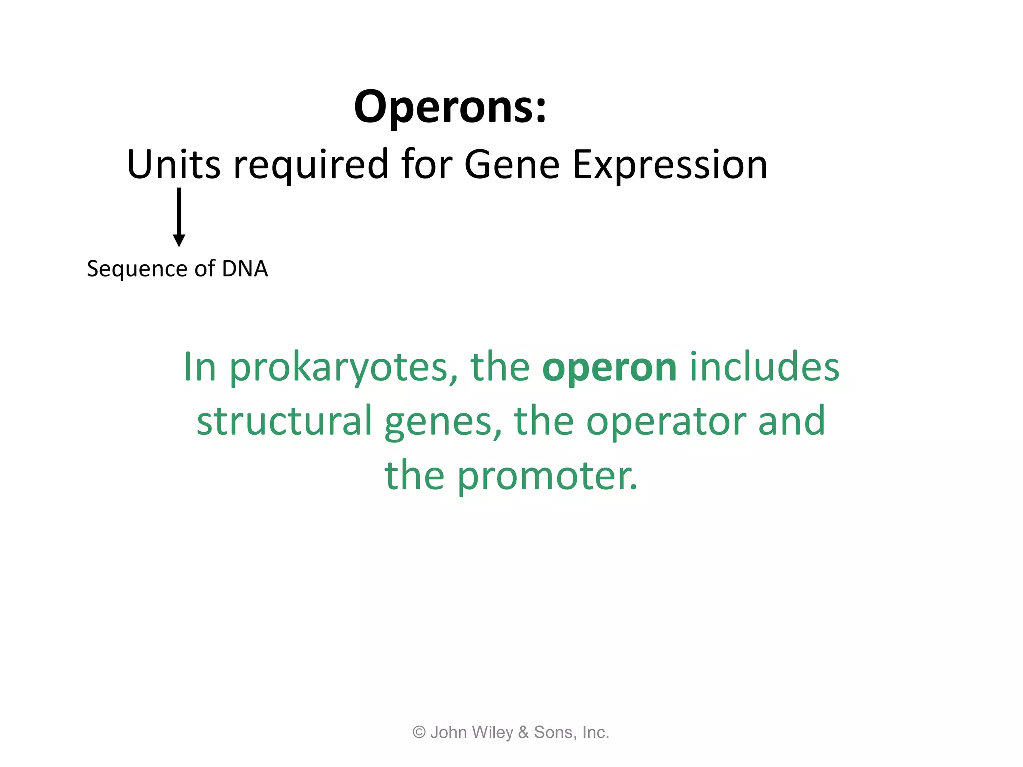 Lac Operon for class 12th | PPTX