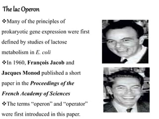 Lac Operon for class 12th | PPTX