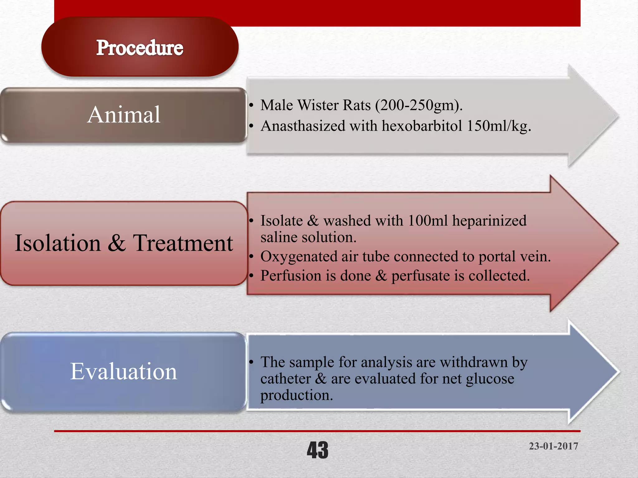 In- vitro and in-vivo screening of Hypoglycemics. | PPTX