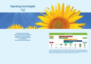 Kwizda prospektus 2020_tavasz_napraforgo | PPT