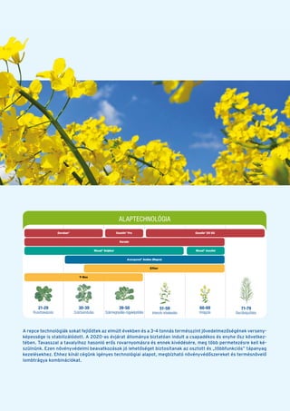 Kwizda 2020 tavasz repce technológia | PDF