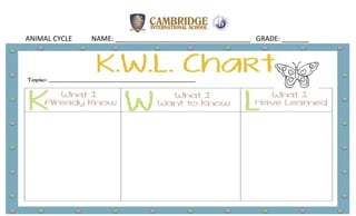 Kwl chart animal cycle | PDF