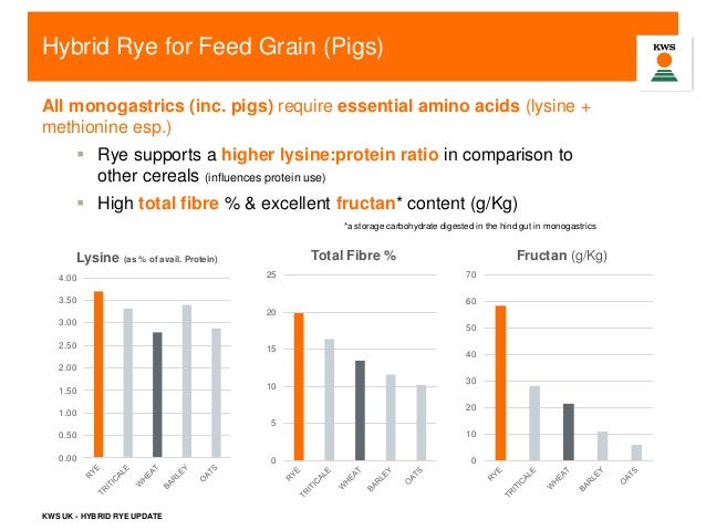 KWS UK - Hybrid Rye Development 2017-18