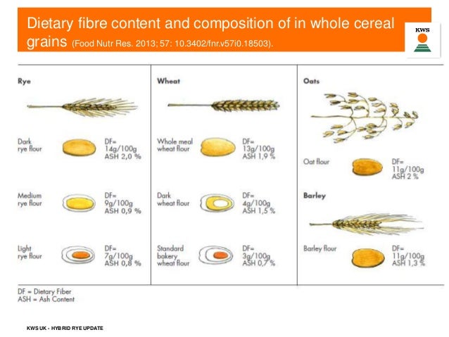 KWS UK - Hybrid Rye Development 2017-18
