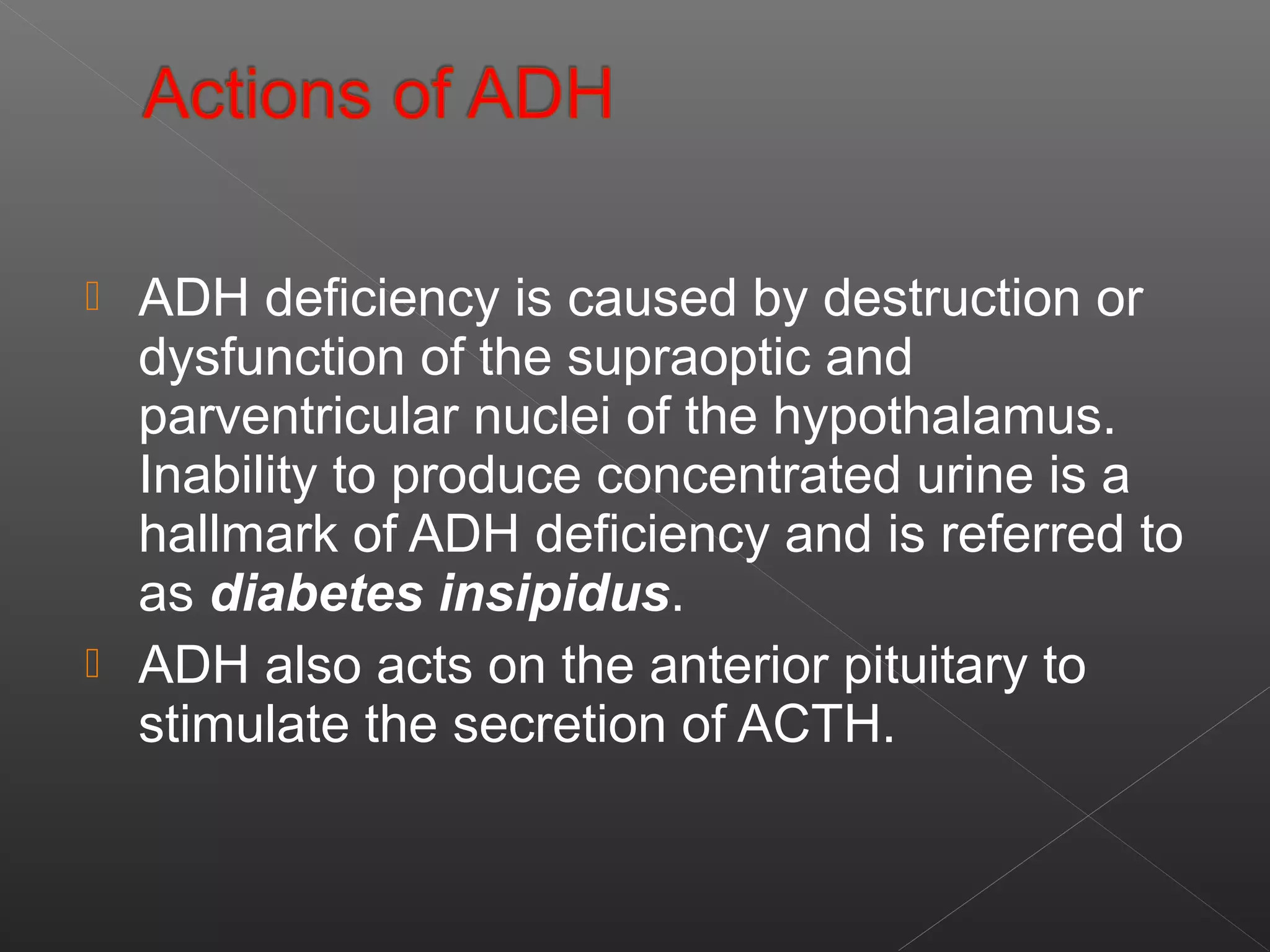 Endocrine function of hypothalamus and posterior pituitary | PPT
