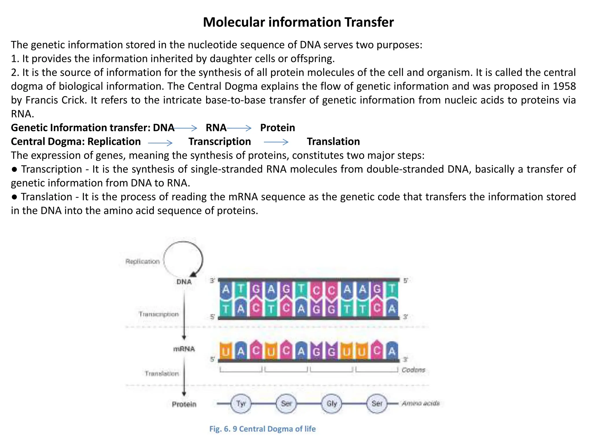 information transfer biology for engineering notes | PDF