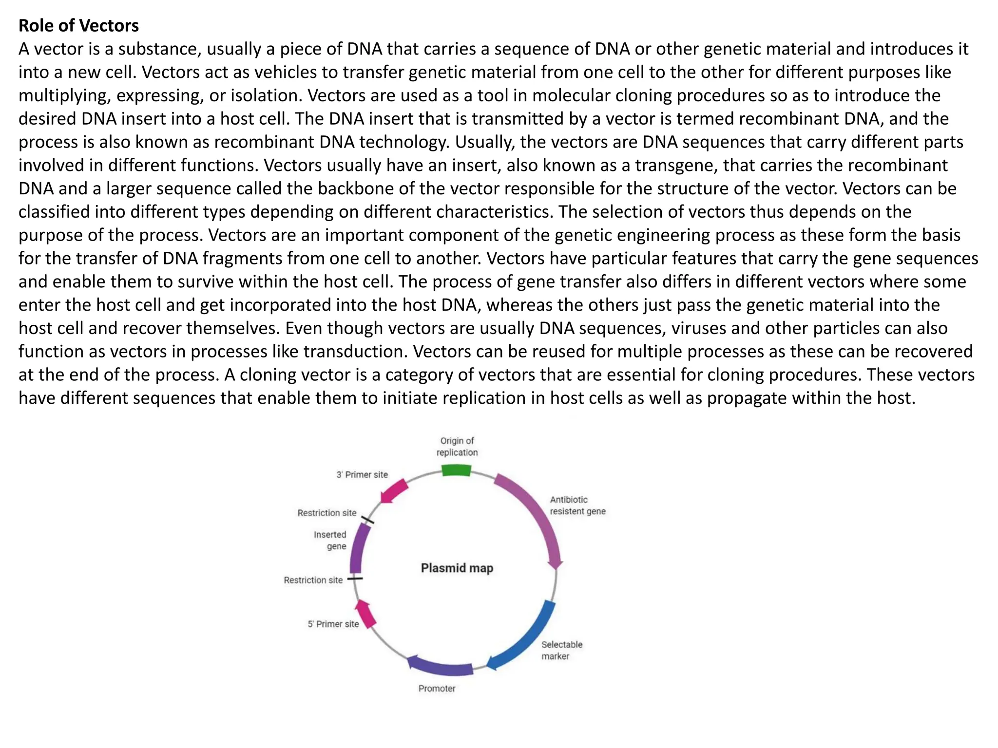 information transfer biology for engineering notes | PDF