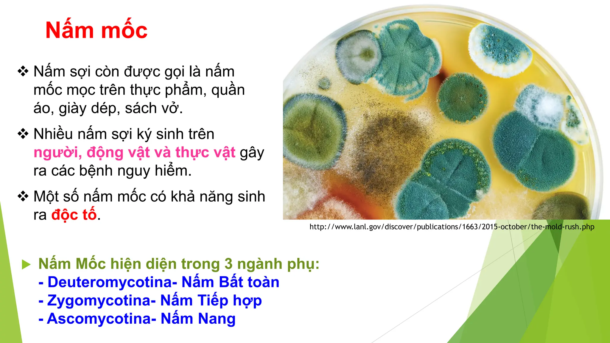 ky-thuat-vi-sinh__ky-thuat-vi-sinh-3-eukaryote - [cuuduongthancong.com].pdf