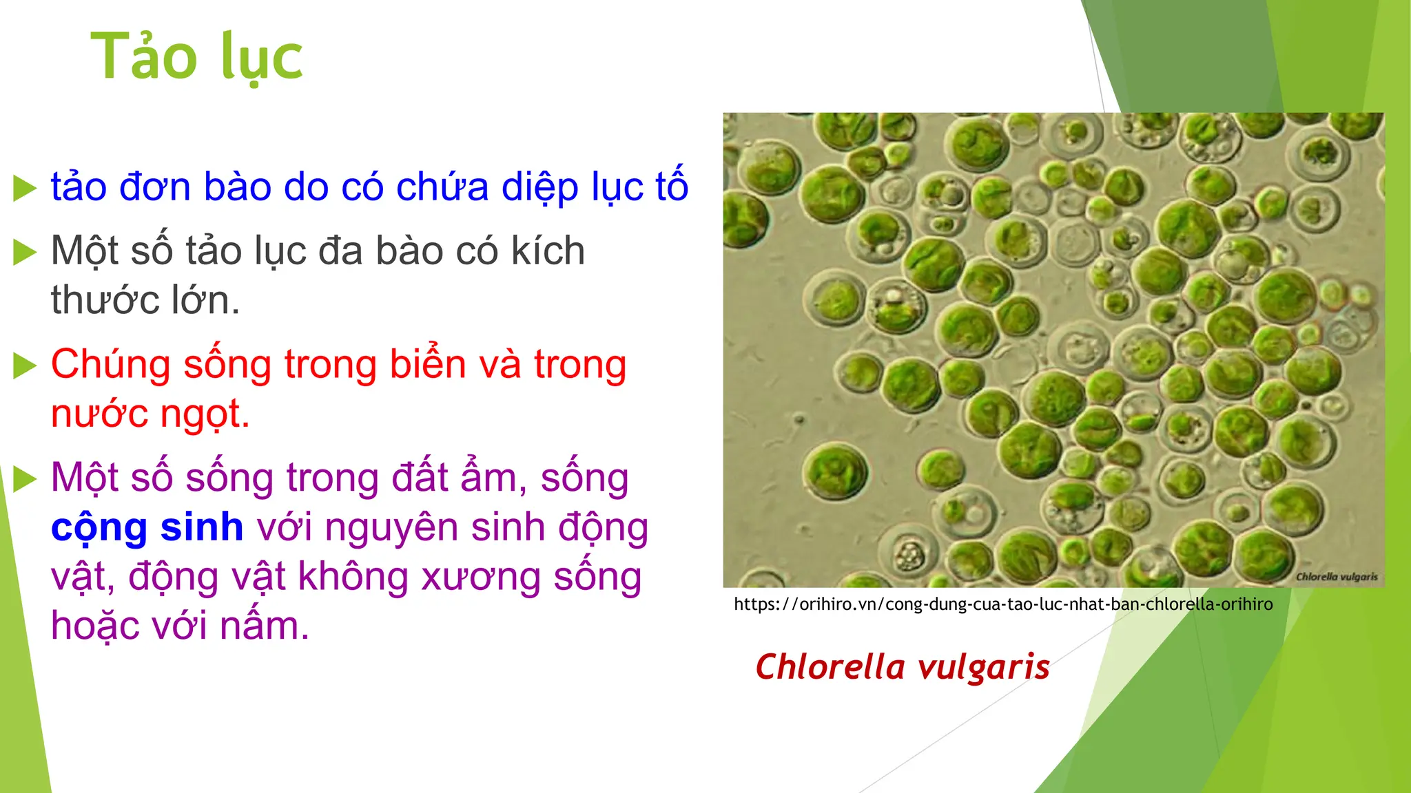 ky-thuat-vi-sinh__ky-thuat-vi-sinh-3-eukaryote - [cuuduongthancong.com].pdf