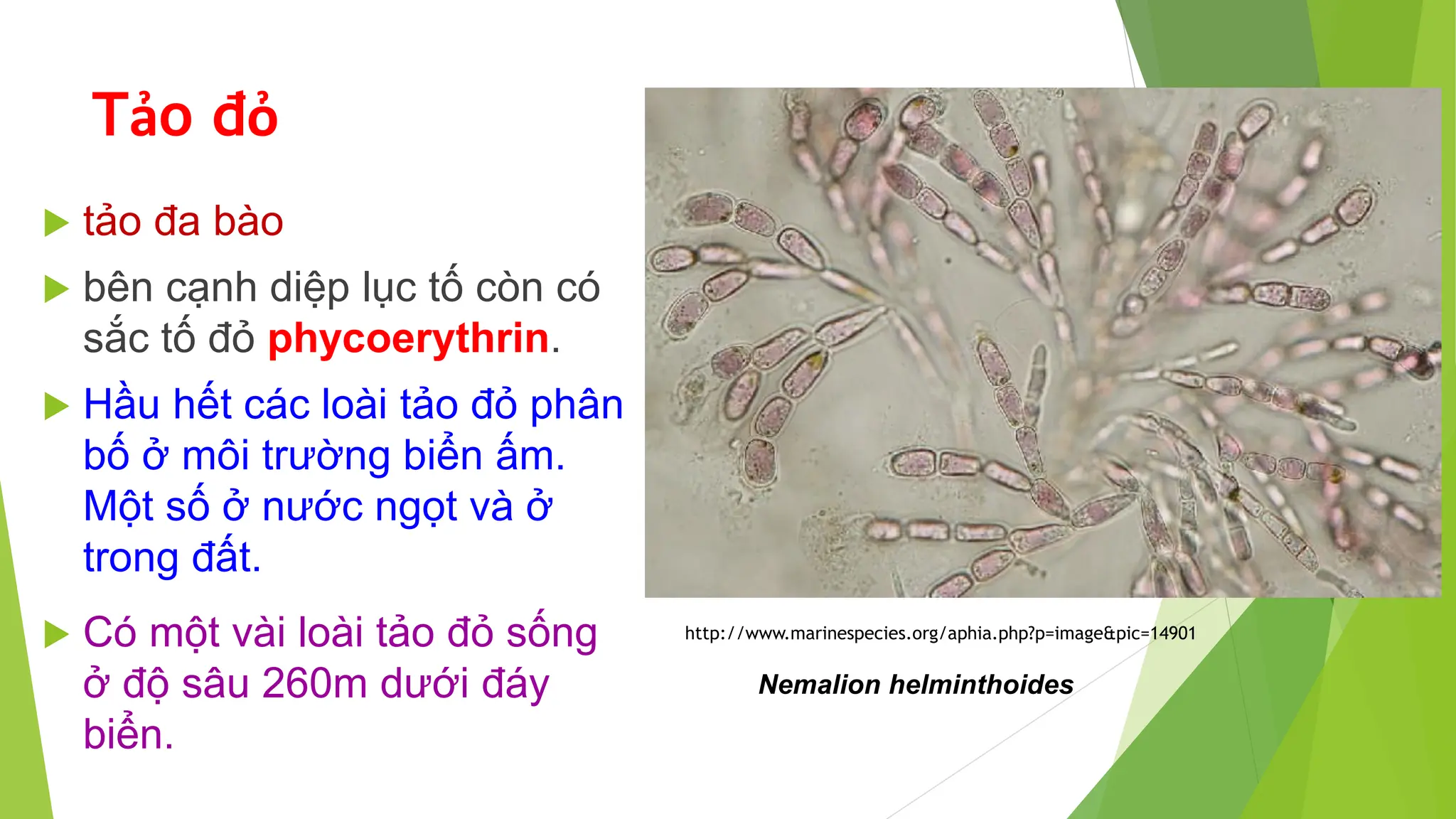 ky-thuat-vi-sinh__ky-thuat-vi-sinh-3-eukaryote - [cuuduongthancong.com].pdf