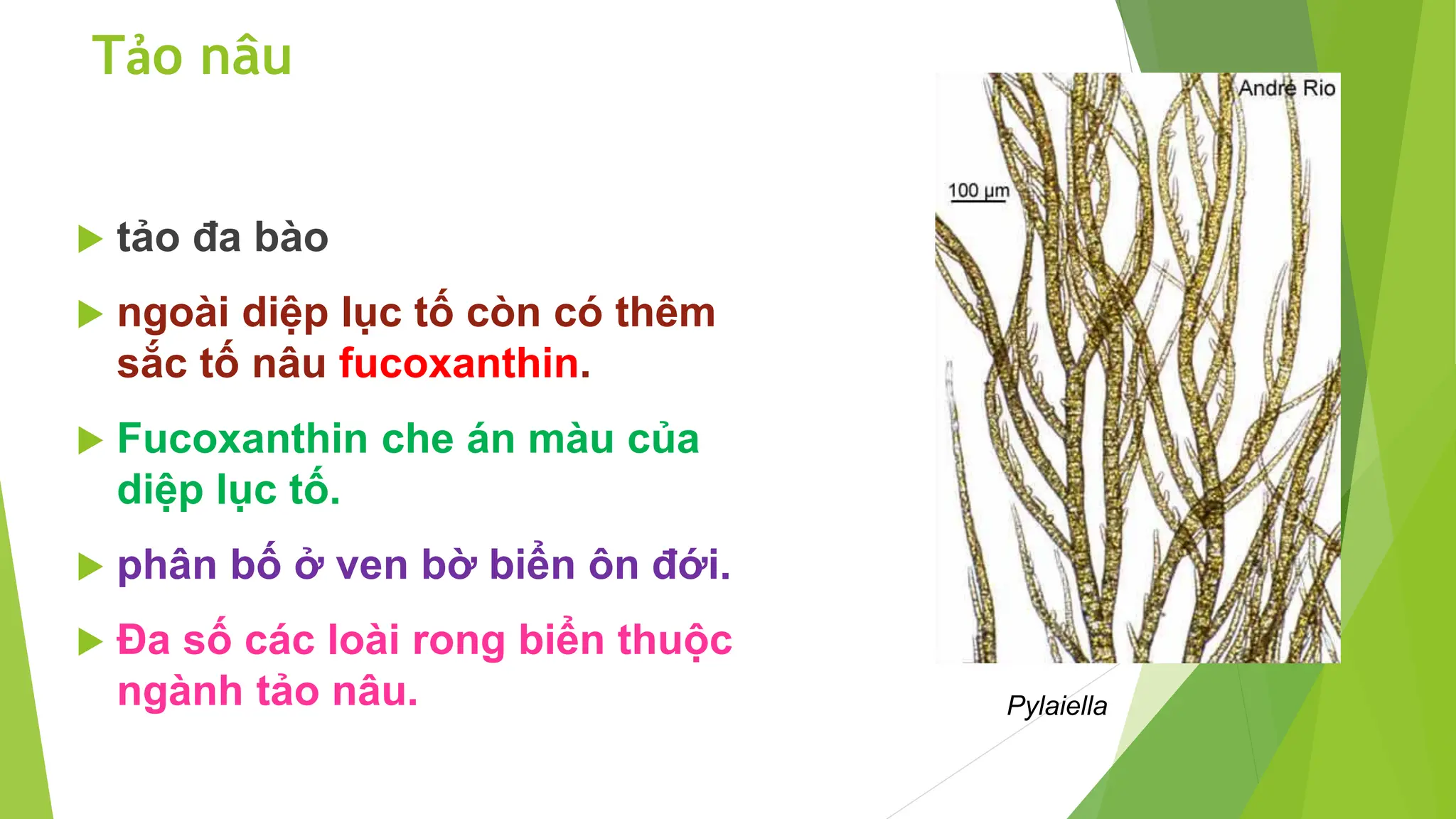 ky-thuat-vi-sinh__ky-thuat-vi-sinh-3-eukaryote - [cuuduongthancong.com].pdf