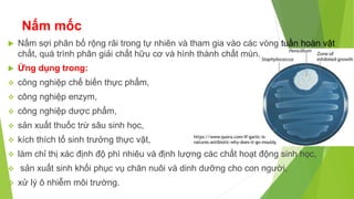ky-thuat-vi-sinh__ky-thuat-vi-sinh-3-eukaryote - [cuuduongthancong.com].pdf