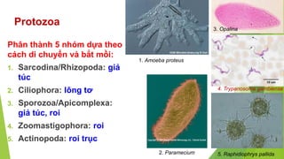 ky-thuat-vi-sinh__ky-thuat-vi-sinh-3-eukaryote - [cuuduongthancong.com].pdf