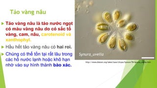 ky-thuat-vi-sinh__ky-thuat-vi-sinh-3-eukaryote - [cuuduongthancong.com].pdf