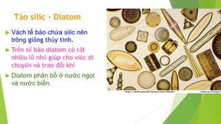 ky-thuat-vi-sinh__ky-thuat-vi-sinh-3-eukaryote - [cuuduongthancong.com].pdf