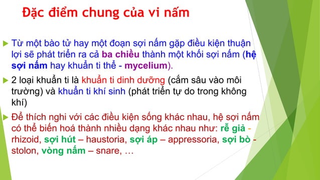 ky-thuat-vi-sinh__ky-thuat-vi-sinh-3-eukaryote - [cuuduongthancong.com].pdf