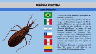 ENFERMEDAD DE CHAGAS | PDF