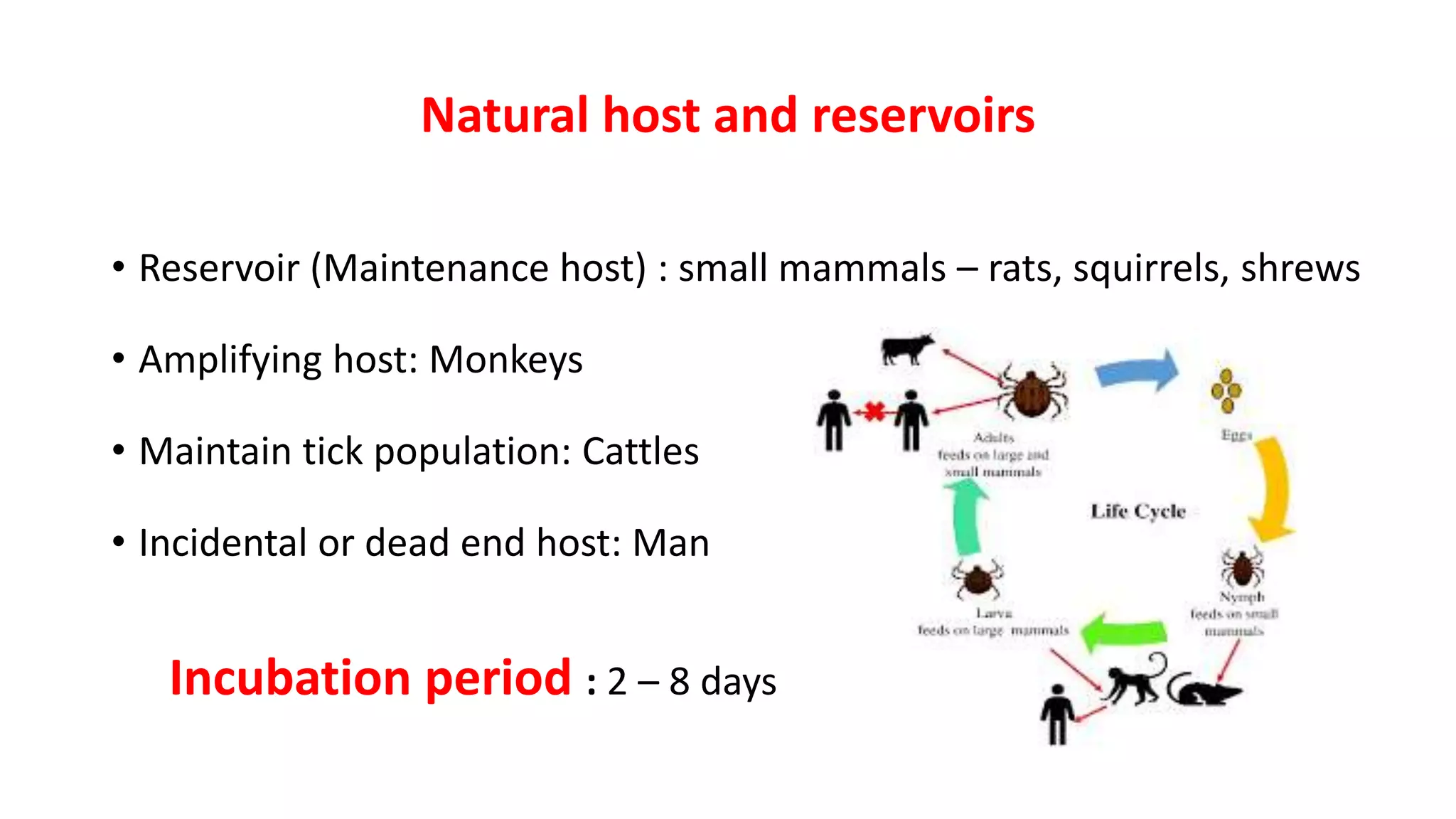 KYASANUR FOREST DISEASE.pptx
