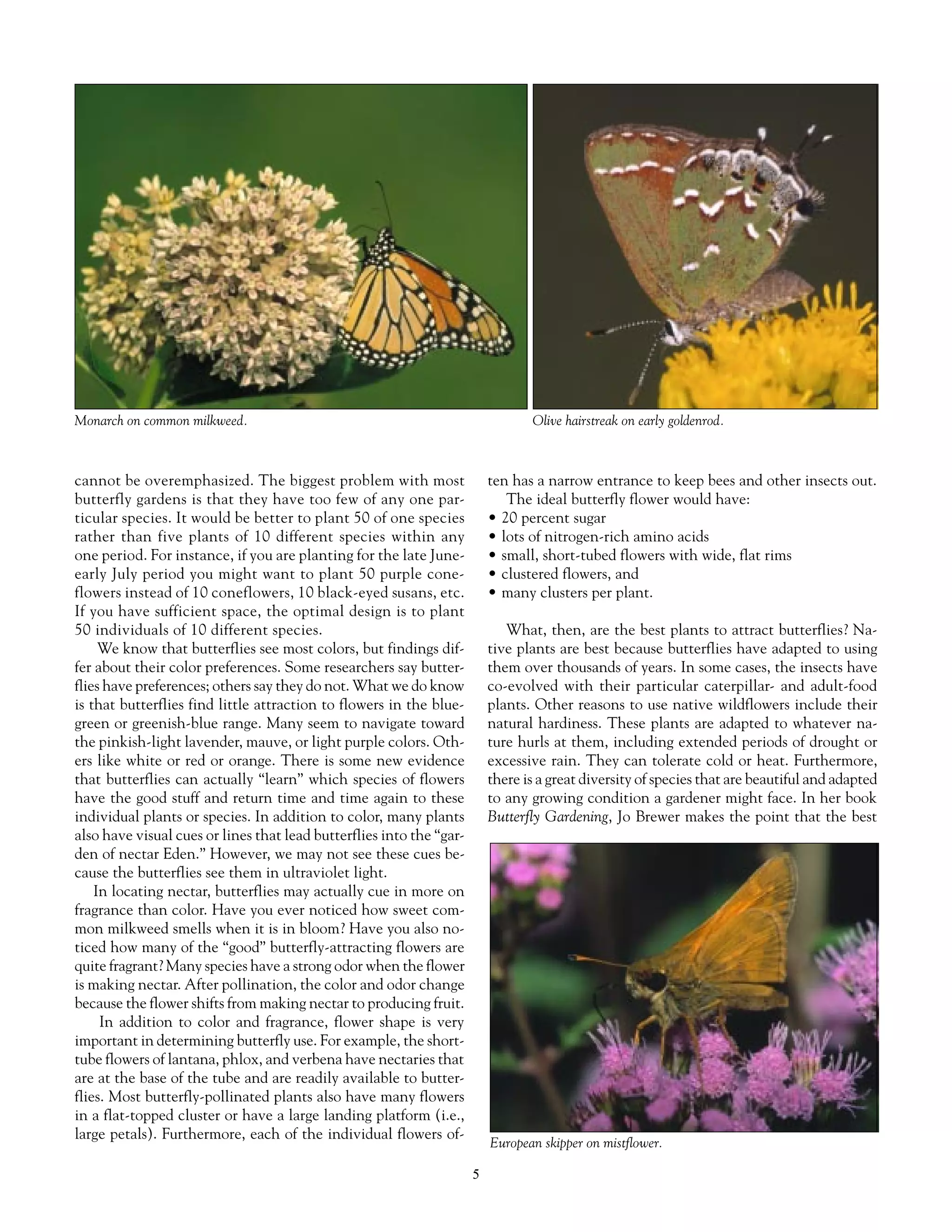 KY: Attracting Butterflies with Native Plants | PDF