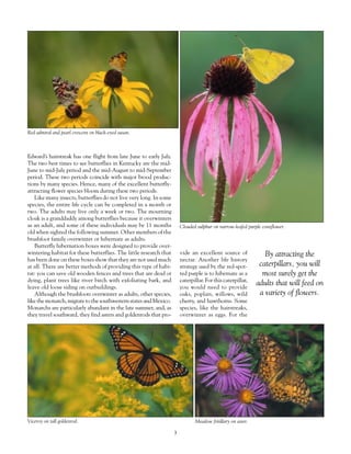 KY: Attracting Butterflies with Native Plants | PDF
