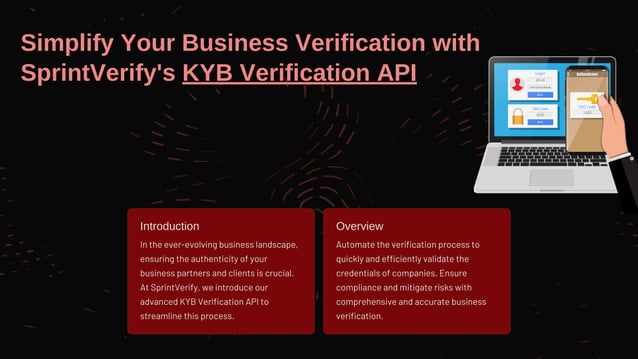 KYB Verification API by SprintVerify.pdf