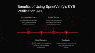 KYB Verification API by SprintVerify.pdf | Business | Business and Finance