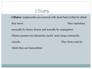 concept of parastiology parts | PPT