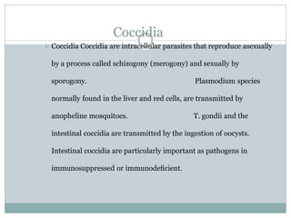 concept of parastiology parts | PPT