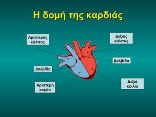 Kykloforiko | PPT