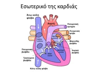 Kykloforiko systhma | PPTX