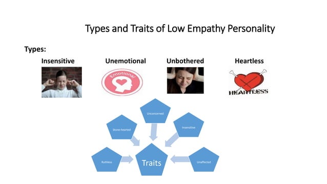 Kykology sociocentric dimension of the integrated model of personality ...