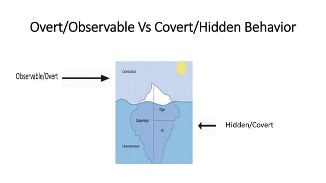 Kykology sociocentric dimension of the integrated model of personality ...