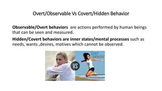 Kykology sociocentric dimension of the integrated model of personality ...