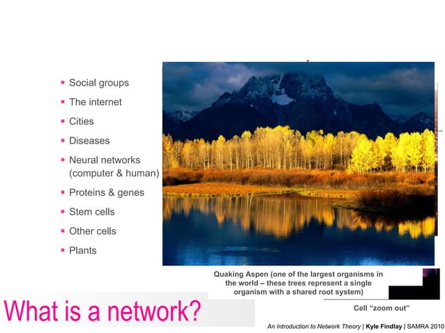 An Introduction to Network Theory | PPT | Social Networking | Internet