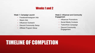 SluggerPunk Final Angel Investor Proposal | PPTX