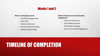 SluggerPunk Angel Investor Final Proposal | PPT