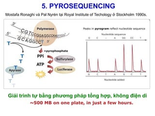 Sequencing lý thuyết | PDF