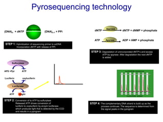 Sequencing lý thuyết | PDF