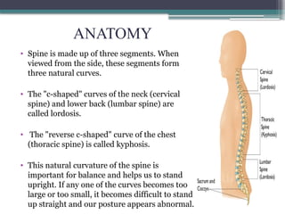 Acquired disease in kyphosis-00014769.pptx