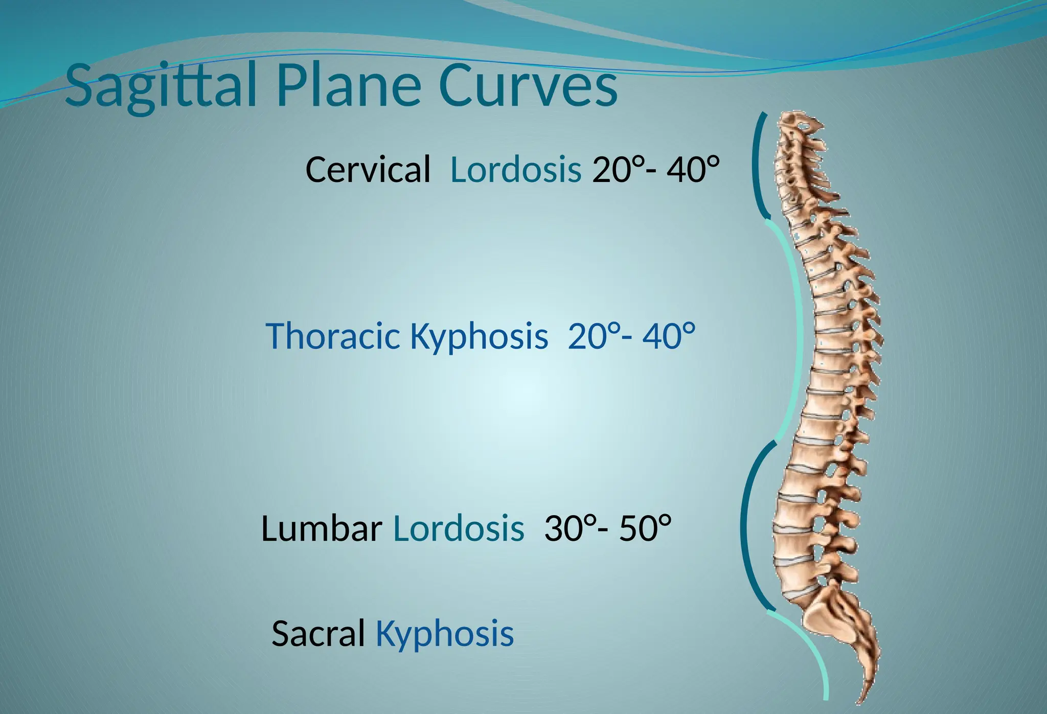 KYPHOSIS.pptx KYPHOSIS DEFORMITY OF THE SPINE | PPT