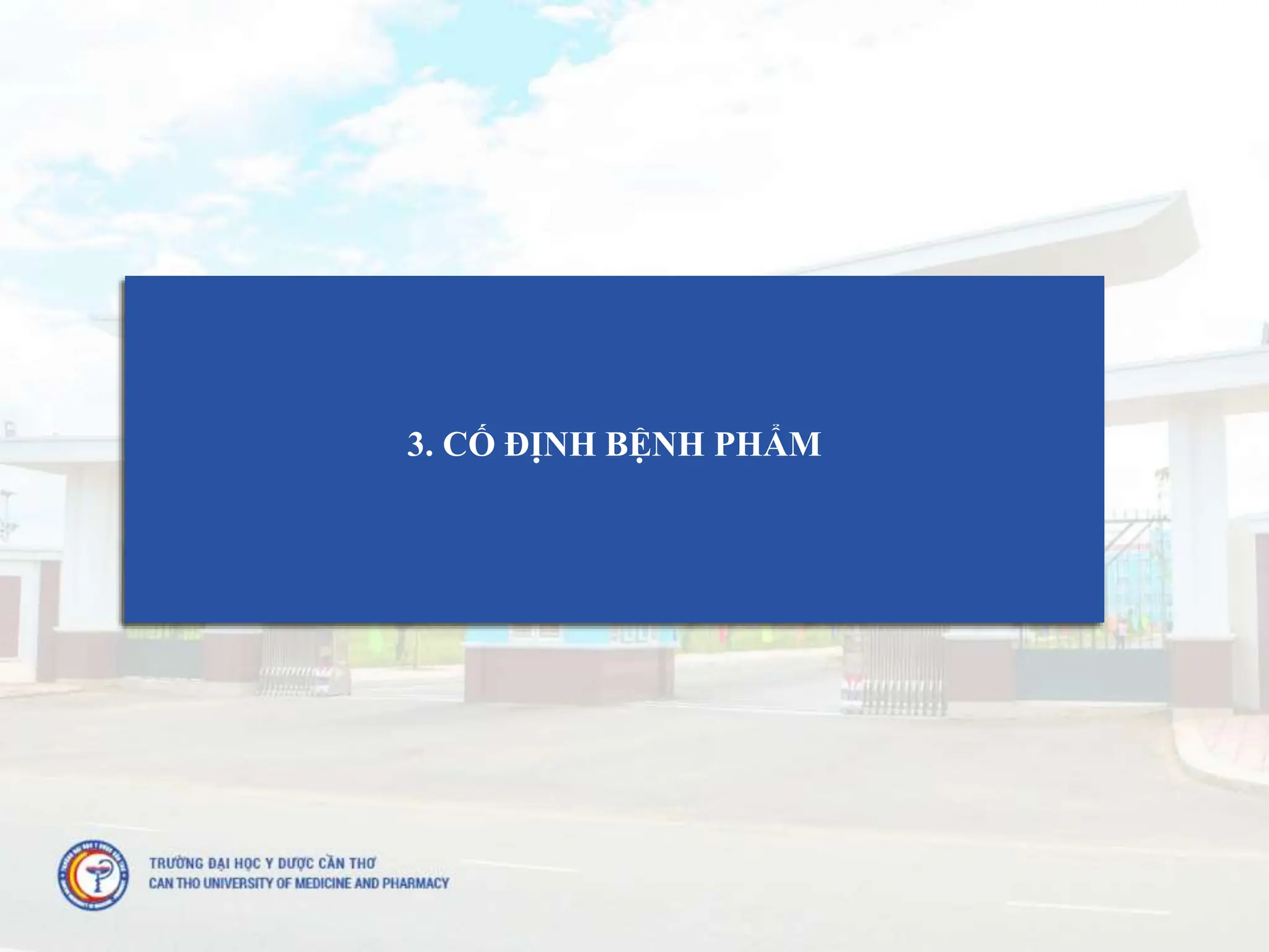 KY THUAT GIAI PHAU BENH PPT - HISTOPATHOLOGY TECHNIQUES - PATHOLOGY CTUMP NGUYEN PHUC DUY 2023 ...