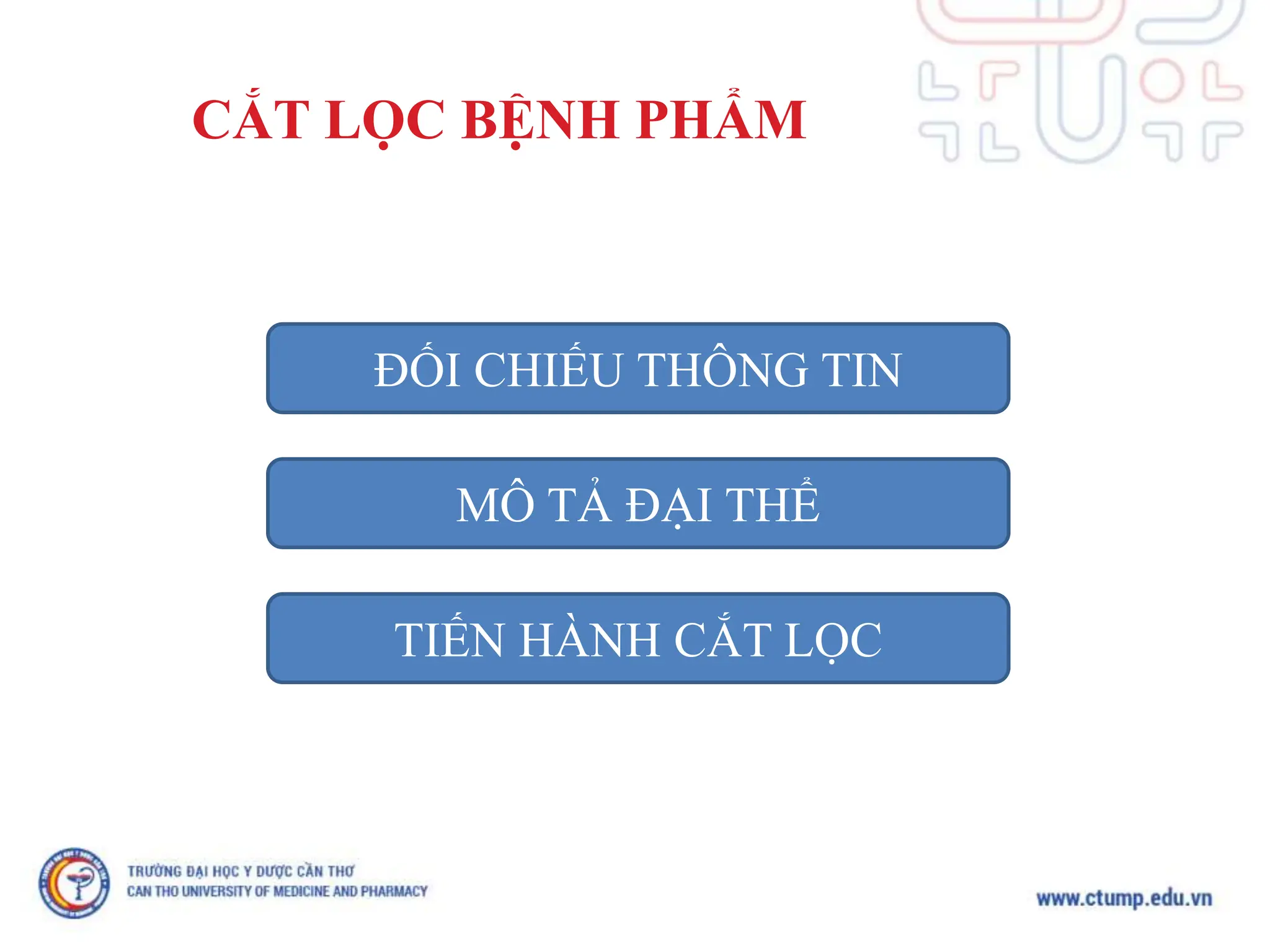 KY THUAT GIAI PHAU BENH PPT - HISTOPATHOLOGY TECHNIQUES - PATHOLOGY ...