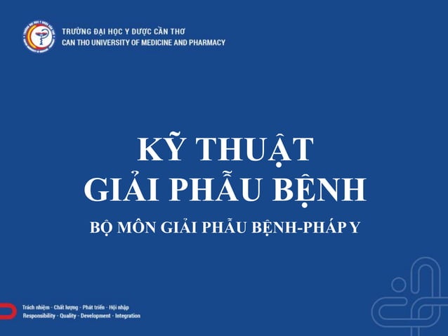 KY THUAT GIAI PHAU BENH PPT - HISTOPATHOLOGY TECHNIQUES - PATHOLOGY CTUMP NGUYEN PHUC DUY 2023 ...