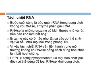 Ky thuat RNA.ppt