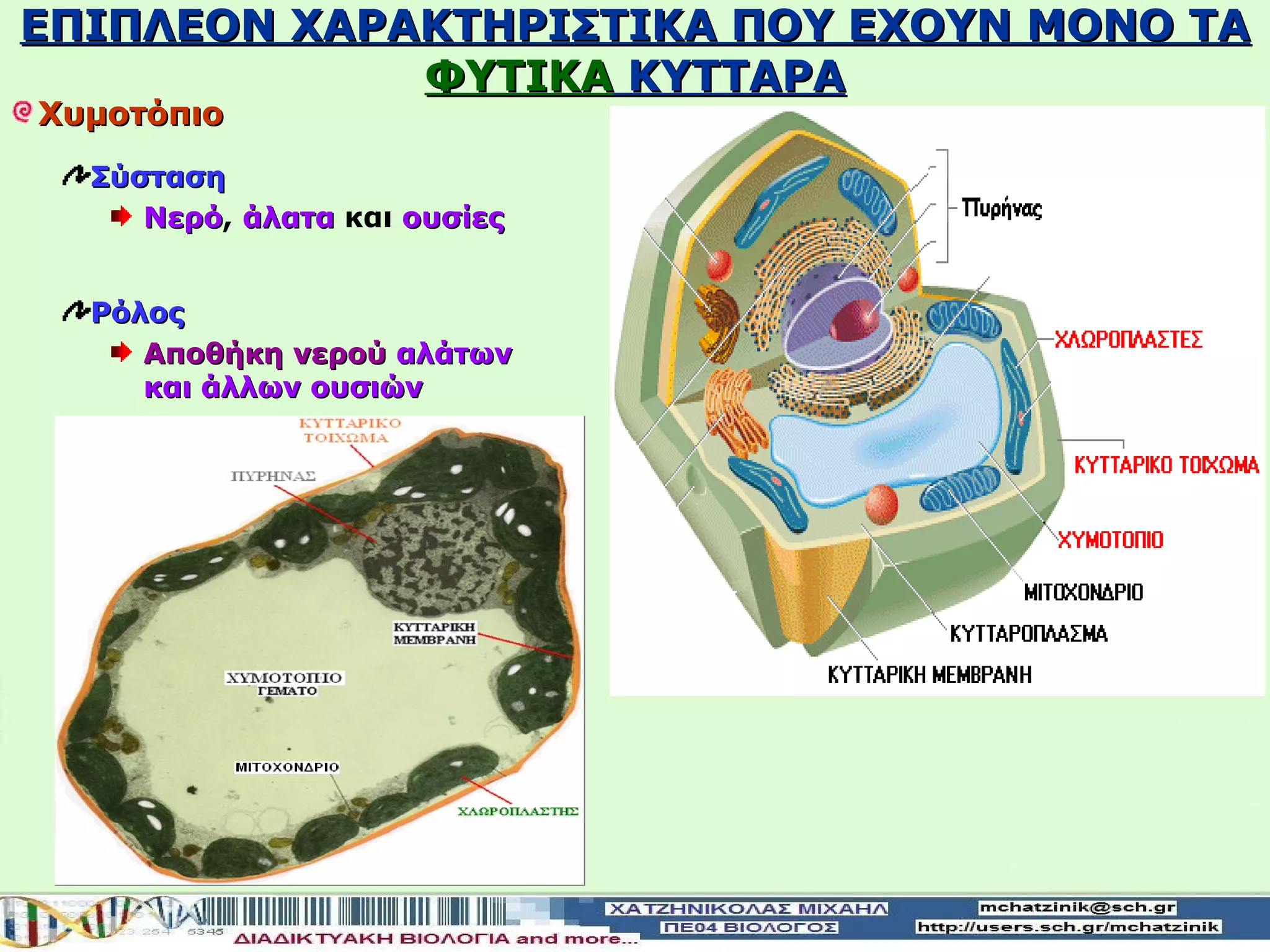 Kyttaroimonadatiszois | PPT